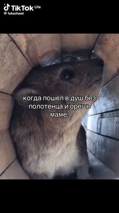 рек рекомендации врек Youtube