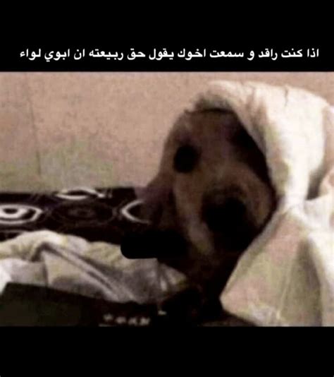 Pin Di Mohamed Bensaid Su Cole