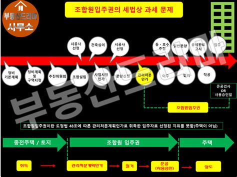 분양권 조합입주권 주택수 포함 여부 안내 네이버 블로그