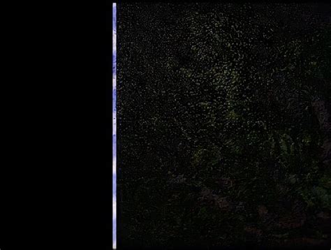 Cherubs Screamer Wiki