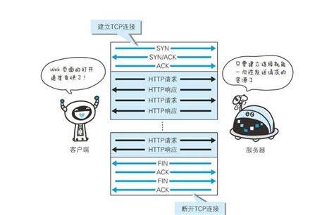 Tcp Tcp Csdn