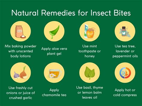 Natural Remedies For Insect Bites In Singapore
