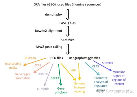 Chip Seq数据分析步骤 知乎 Chip Seq数据分析步骤 知乎