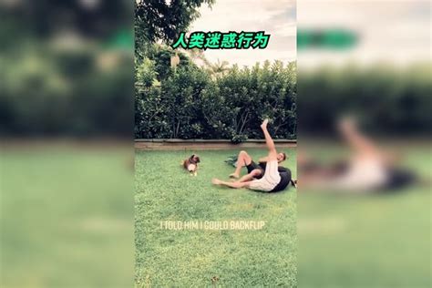 287 小哥：快不要看了羞死人了啊啊啊啊啊 ！！ 搞笑 沙雕日常