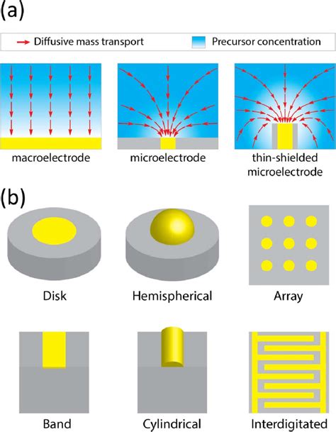 A Mass Transport Macroelectrode Vs Microelectrode Vs Thin Shielded