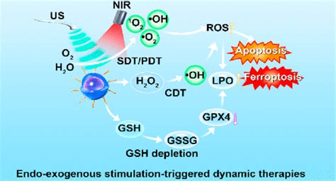 Bimetallic Cu Ru Core Shell Structures With Ligand Effects For Endo Exogenous Stimulation