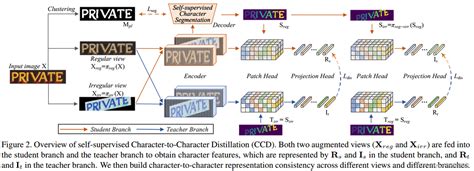 CVPR23 ICCV23自监督文本识别 self supervised character to character distillatio