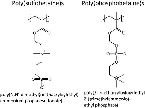 Examples Of Zwitterionic Polymers Showing Ucst Behavior In Aqueous