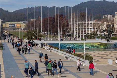 UdeC abre convocatoria para postular a Prácticas con Impacto 2024