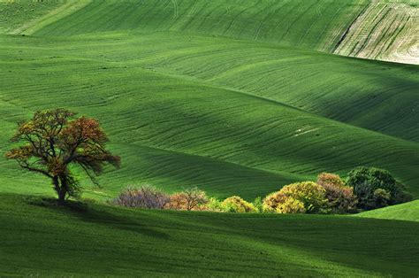Benvenuta Primavera Welcome Spring Santa Luce Orciano Flickr