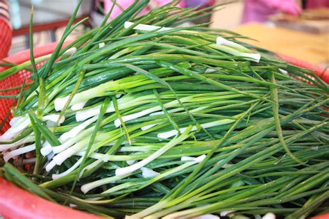 김장 김치 음식 Photo Gratuite Sur Pixabay Pixabay