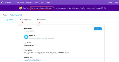 How To Make Calls To Twitter Apis Using Postman Client