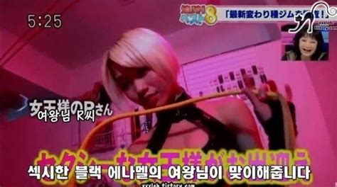 채찍피티 유머 움짤 이슈 에펨코리아