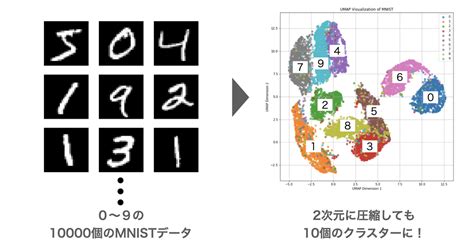 【pythonコード付】umapについてわかりやすく解説 化学とインフォマティクスと時々雑記