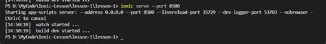 Updating To 370 Cannot Run Two Ionic Serves At The Same Time · Issue