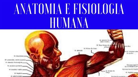 Anatomia E Fisiologia Humana