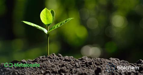 Balchem Plant Nutrition On Linkedin Metalosate Balchem
