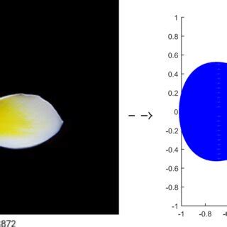 An Illustration For The Proposed Encoding Method Download Scientific Diagram