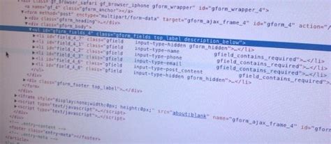 Add Input Field Type As Css Class In Gravity Forms Wordpress