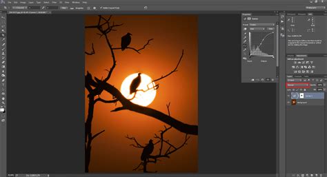 How To Blend Layers In Photoshop Blend Modes Explained