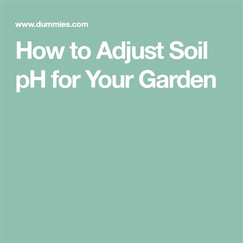 Adjust Soil Ph For Your Garden