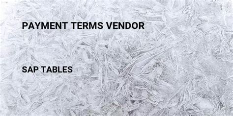 Payment Terms Vendor Table In Sap