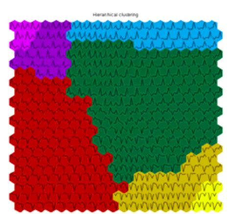 Five Super Classes Are Shown After Hierarchical Clustering Of The 400 Download Scientific