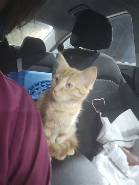 Pit Stop 3 Album On Imgur