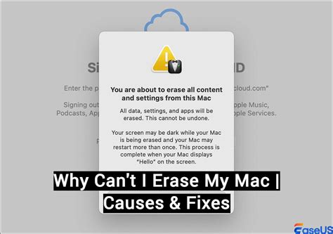 Why Can T I Erase My Mac Fix Now