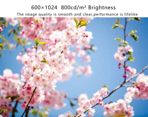 7 Inch 600x1024 Tft Lcd Screen Mipi Interface Industrial Highlight Car Display Youritech