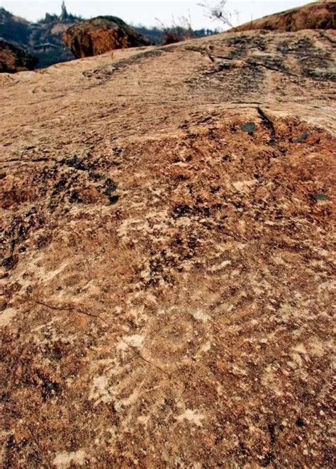 震撼长文：5000年来 中国为什么能养活这么多人口中华文明节日节庆新浪新闻