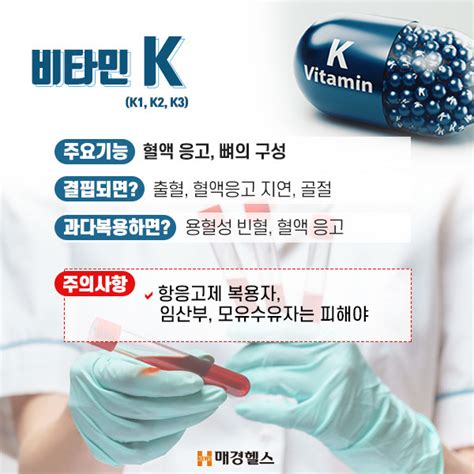 비타민 K1 비타민 K2 효능 및 차이 식품 비타민k영양제 필로퀴논 메나키논 준팔이