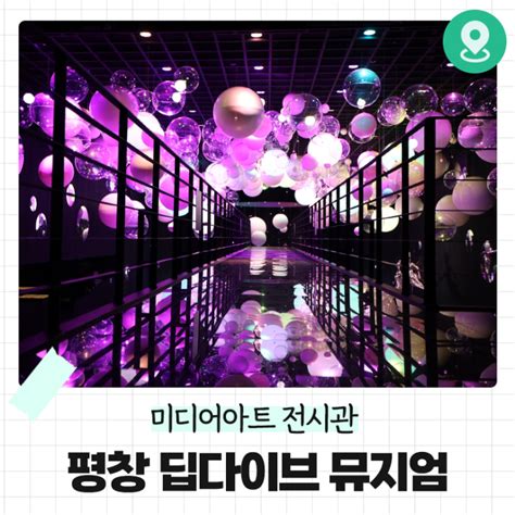 [평창 가볼만한곳] 강원도 실내 여행지 미디어아트 전시관 평창 딥다이브 뮤지엄 네이버 블로그