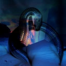 Browse Artists Audiotool Free Music Software Make Music Online In Your Browser