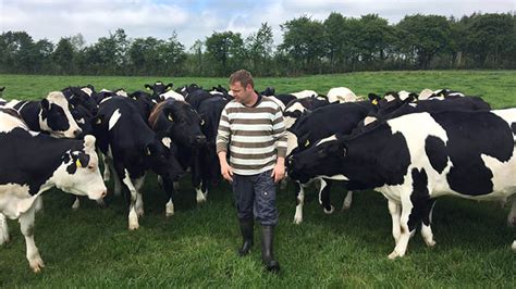 Glanbia Monitor Farm Update From Martin Davin Rathdowney Co Laois Tirlán Farmlife