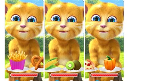Talking Ginger Cat Eating Funny Video 🍓🍒🍊🍉🍟🍟🥨🍕🥝🥭🍍🍌🍋🍒🍒🍊 Youtube
