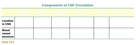 Components Of Csf Circulation Diagram Quizlet