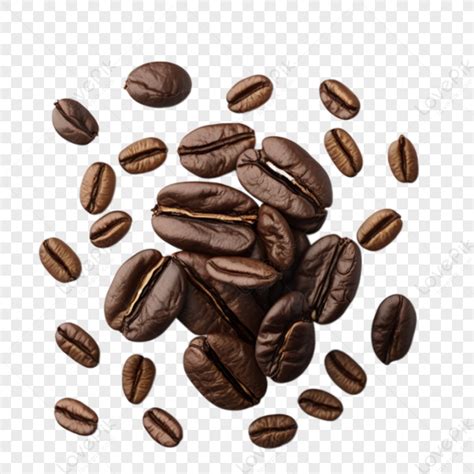 커피 콩의 3d 물리적 지도카페음식드링크 Png 일러스트 무료 다운로드 Lovepik