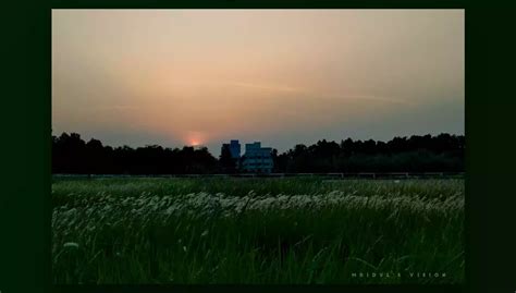 Generate Gradient Backgrounds Automatically With Gradejs