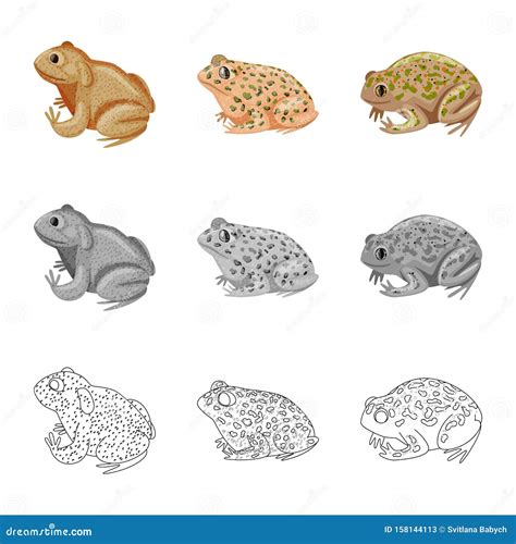 Vector Design Of Wildlife And Bog Logo Collection Of Wildlife And Reptile Stock Vector