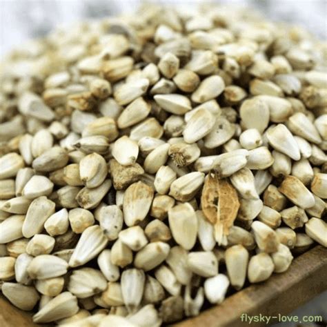 뼈 건강에 좋은 홍화씨 특징 효능 영양성분 고르는법 부작용