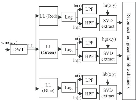 The Extraction Algorithm Download Scientific Diagram