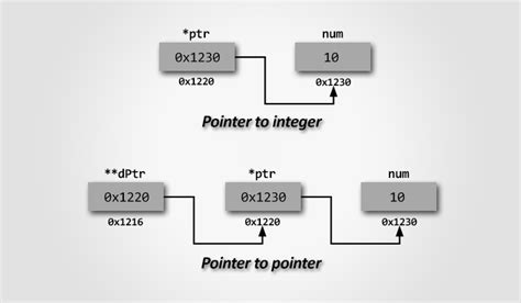 Pointer To Pointer Double Pointer In C Codeforwin