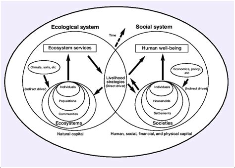 A Theoretical Framework Developed By Twine And Others For A Research Download Scientific