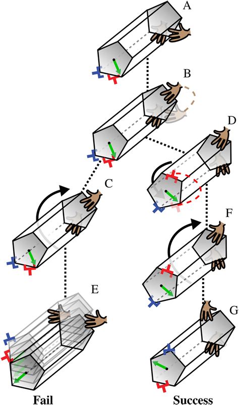 different action paths to collaboratively manipulate the object from