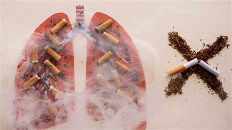 Santé Cardiovasculaire Les Bénéfices De Larrêt Du Tabac
