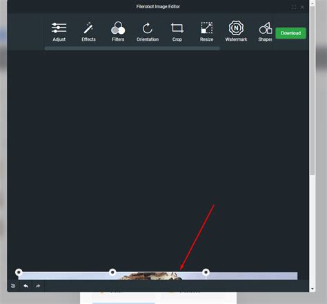 BUG Style Error React Issue Scaleflex Filerobot Image Editor GitHub