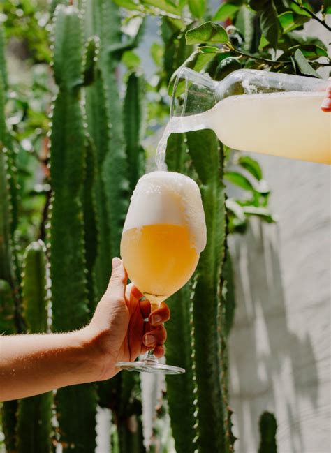 Margarita Sour Felons Brewing Co Untappd