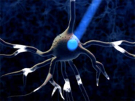 Accessory Plasmids For Optogenetics Synthetic Neurobiology Group
