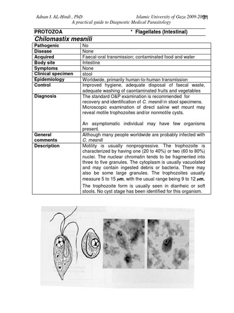Chilomastix Mesnili Protozoa Flagellates Intestinal Pdf